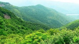 Best Trekking spots in Goa